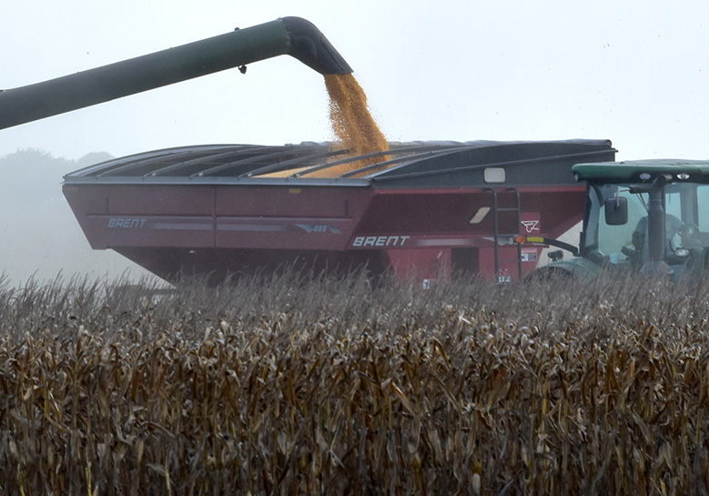 High Caliber Deer Corn - United Ag