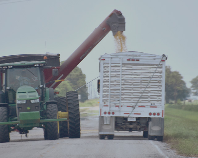 Grain Elevators - United Ag