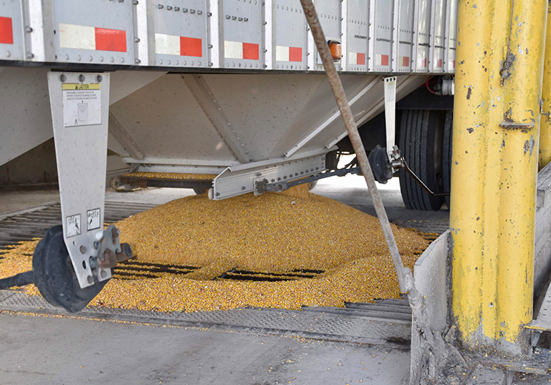 High Caliber Deer Corn - United Ag
